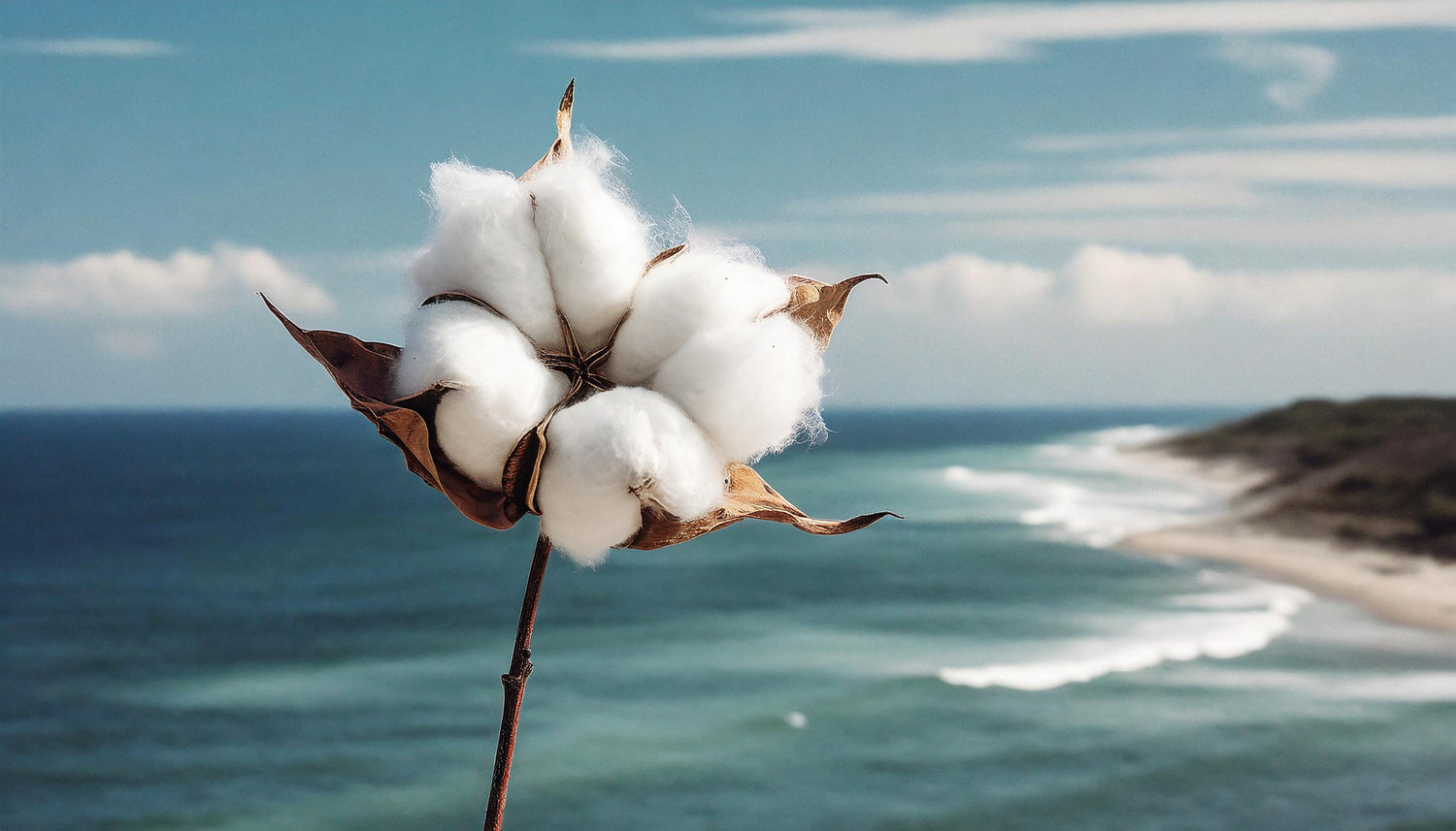 JUSTWEARCOTTON – justwearcotton